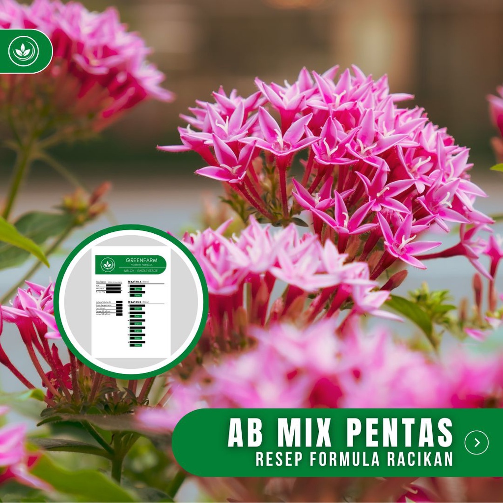 Jual Resep AB Mix Bunga Pentas Formula Racikan Nutrisi Bunga Pentas ...