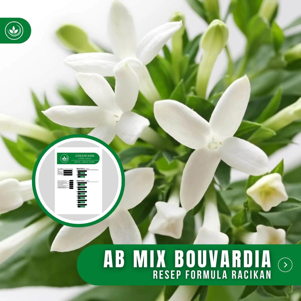 Jual Resep AB Mix Bouvardia Formula Racikan Nutrisi Bunga Bouvardia ...