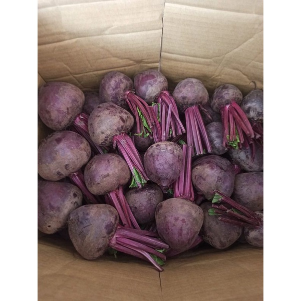 Jual BUAH BIT MERAH SEGAR / BEET ROOT FRESH 1KG | Shopee Indonesia