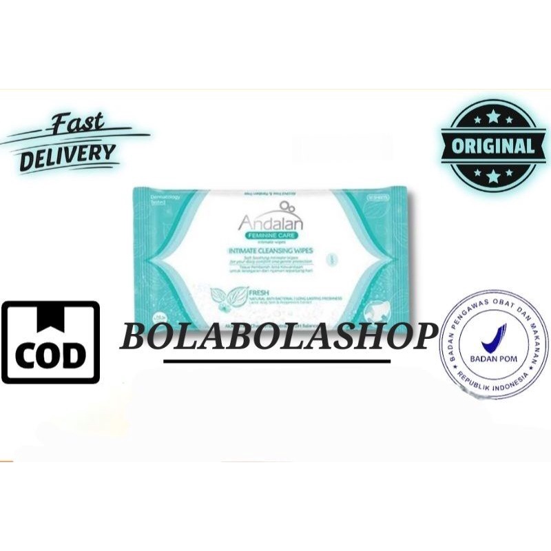 Jual Andalan Feminine Care Intimate Cleansing Wipes Tissue Basah 10 ...