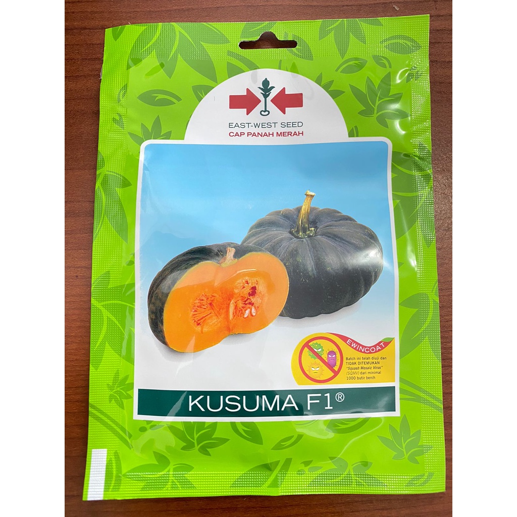 Jual Benih Labu KUSUMA Sp | Shopee Indonesia