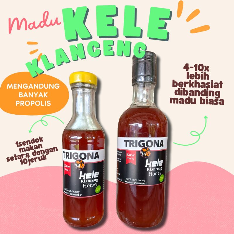 Jual Madu PROPOLIS Kele Klanceng TRIGONA ASLI Murni 100% Tanpa CAMPURAN ...