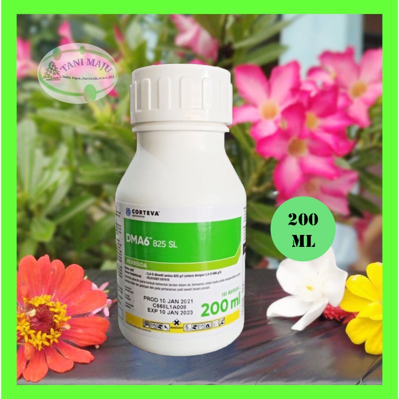Jual DMA 6 200 ml obat rumput sistemik purna tumbuh | Shopee Indonesia