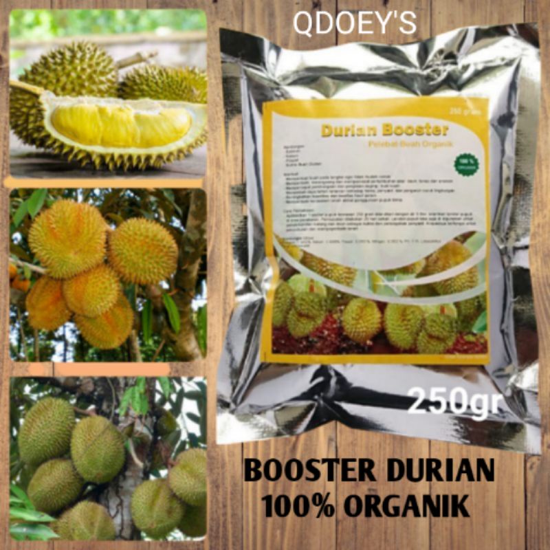 Jual Pupuk Organik Penyubur Bunga dan Buah Durian/Duren, pelebat dan penyubur buah durian ...