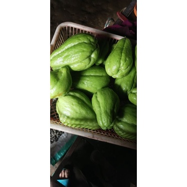 Jual labu siem /waluh welok untuk lalap masak rebus bisa | Shopee Indonesia