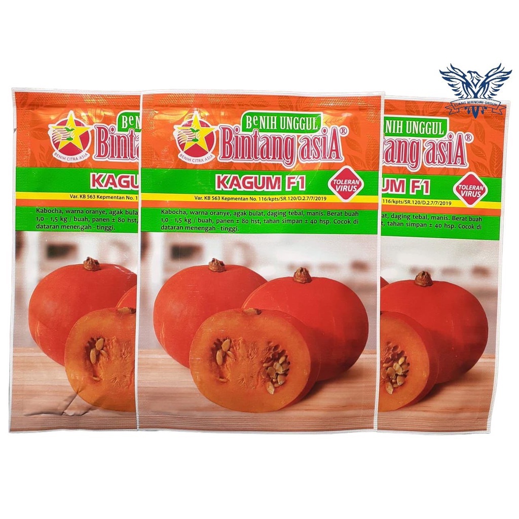 Jual Kagum F1 10gr Benih Labu Kuning Bintang Asia Kabocha | Shopee ...