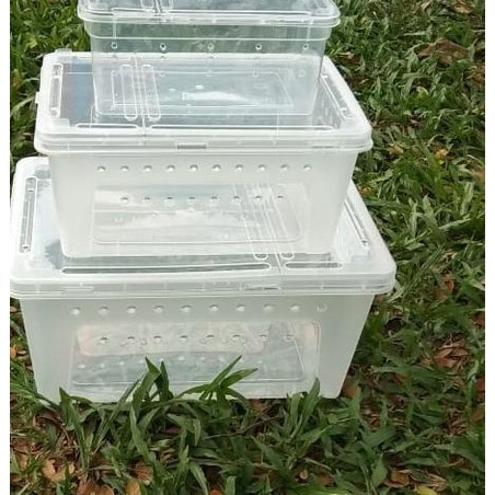 Jual Kandang Tarantula Enclosure Tarantula Box Reptil L 32x22x15cm ...