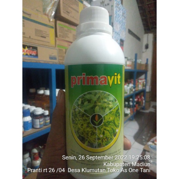 Jual Primavit 500 Ml | Shopee Indonesia