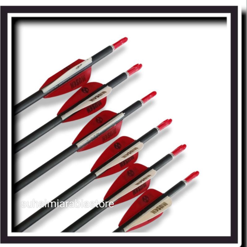 Jual Arrow Carbon Mix MUSEN 6mm Spine 1000 - Anak Panah Karbon 6 mm | Shopee Indonesia