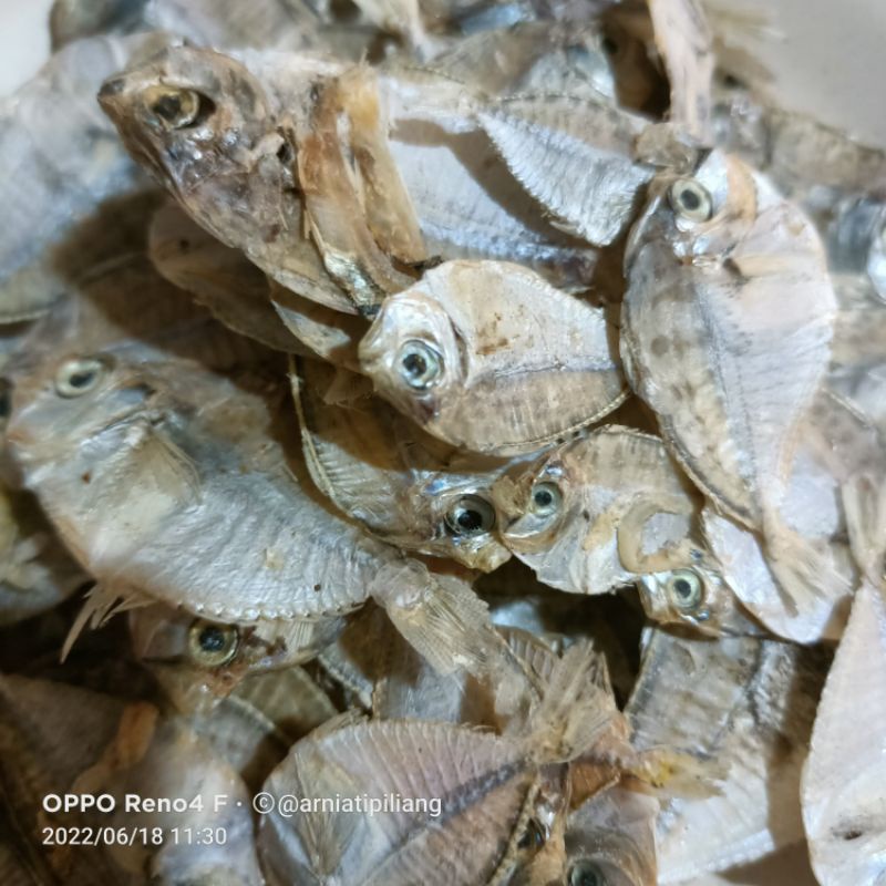 Jual 500 Gram Bada Maco - Ikan Asin Khas Minang | Shopee Indonesia