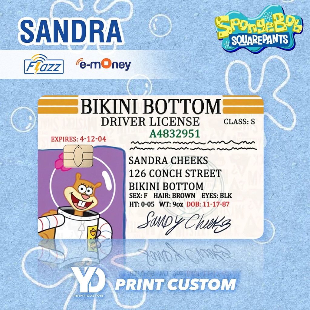 Jual KARTU FLAZZ GEN 2 / KARTU EMONEY / SPONGEBOB EDITION / DRIVER ...