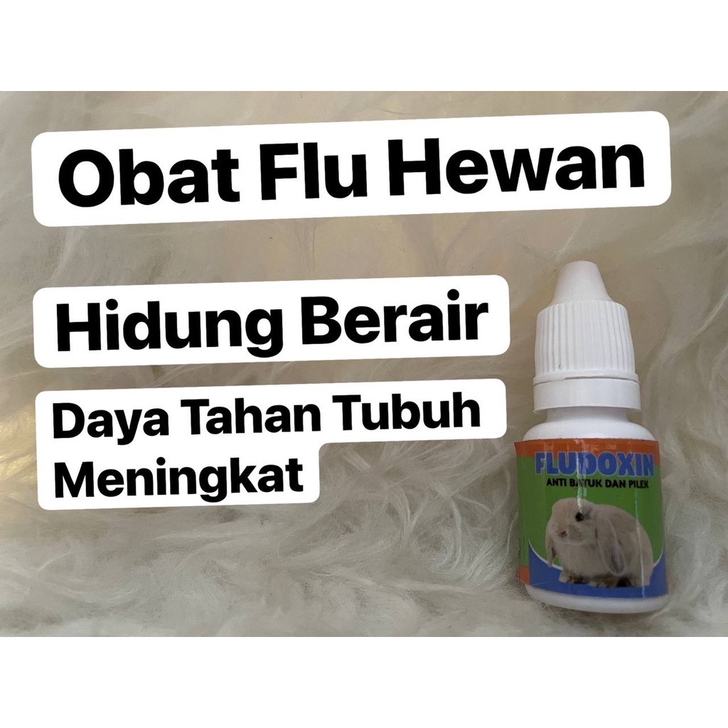 Jual Obat Flu Batuk Pilek Kelinci Sapi Kerbau Kambing Domba Kuda Babi ...