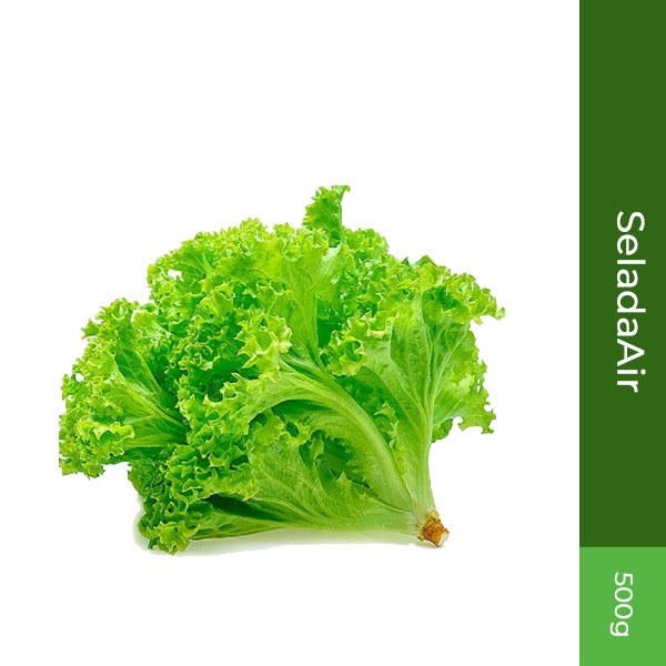 Jual Selada Air 500gr | Shopee Indonesia