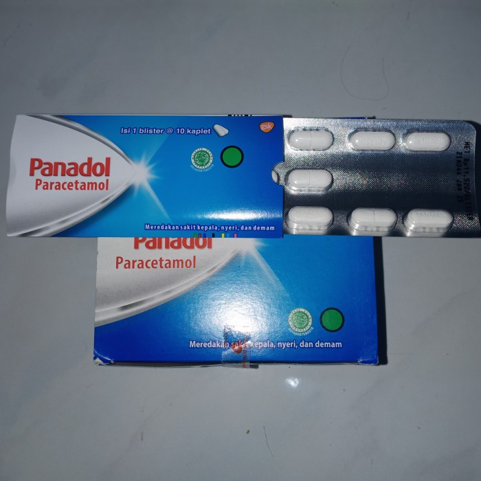 Jual Panadol Biru Paracetamol 1 Box Isi 10 Blister @ 10 Kaplet | Shopee ...