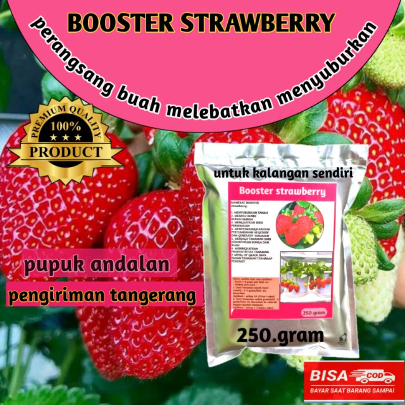 Jual pupuk booster strawberry pupuk perangsang buah melebatkan menyuburkan | Shopee Indonesia