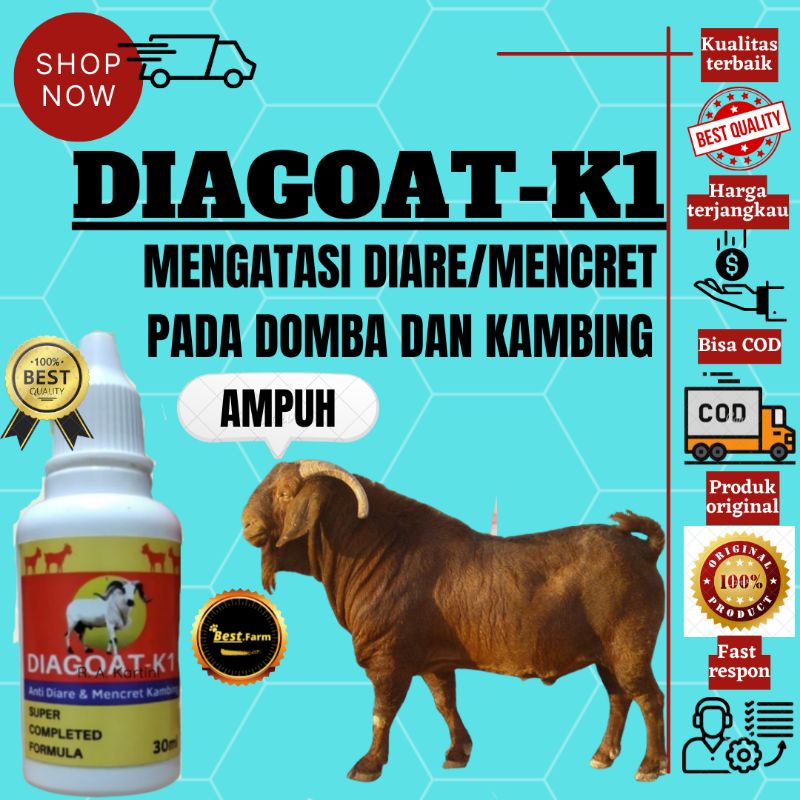 Jual Obat Mencret Ternak Kambing Domba Super Ampuh Diagoat-k1 best farm ...