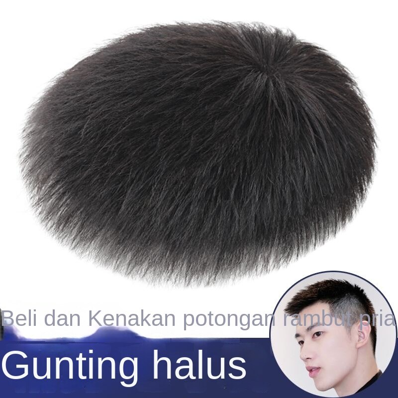 Jual Wig Pria Rambut Pendek Rambut Asli Atas Rambut Pengganti Potongan ...