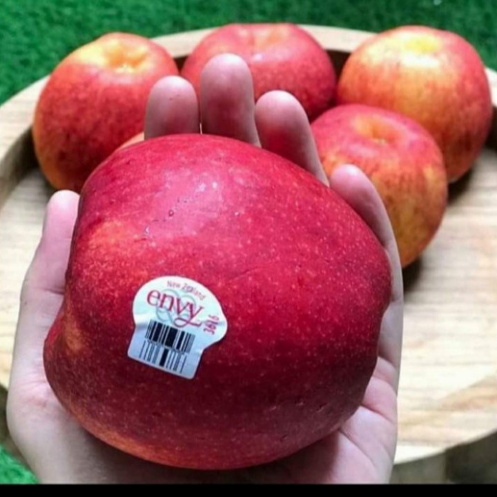 Jual Apel Envy Premium Apple NEW ZEALAND High Grade 1 buah | Shopee ...