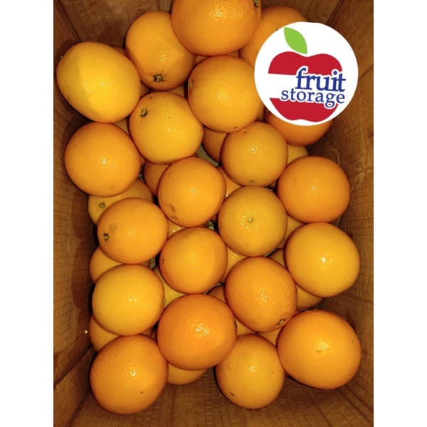 Jual Jeruk Valencia Import 900g Fresh buah segar | Shopee Indonesia