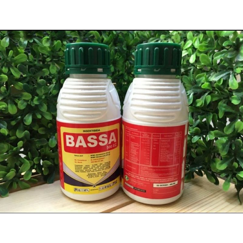 Jual Insektisida BASSA 500ML | Shopee Indonesia