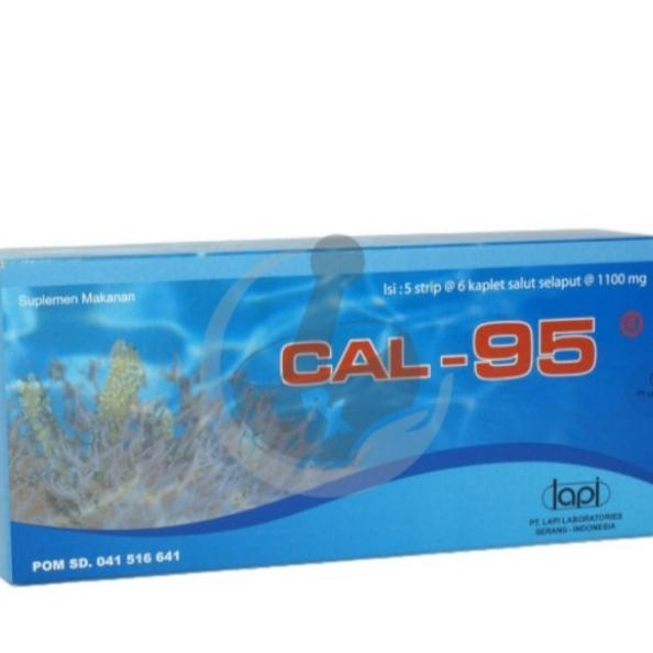 Jual cal 95 1 box isi 30 kaplet | Shopee Indonesia