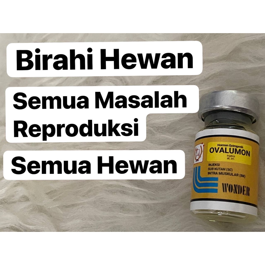 Jual OVALUMON WONDER Obat Birahi Hewan Obat Birahi Kucing Anjing ...