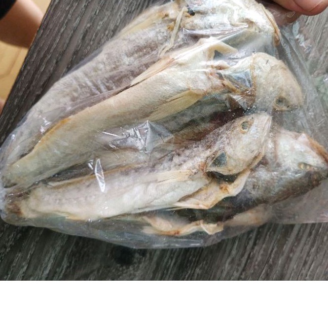 Jual Ikan asin samge kepala batu 250gram / ikan gulama khas bagan ...