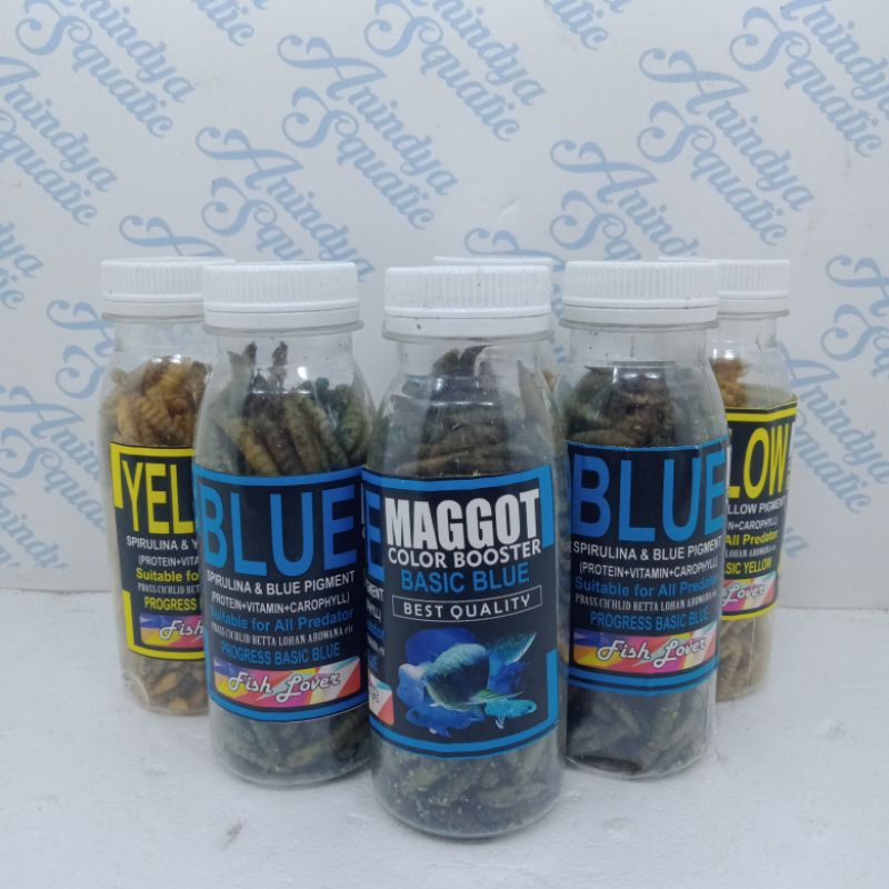 Jual pakan ikan predator chana maggot BSF colour booster blue, yellow ...