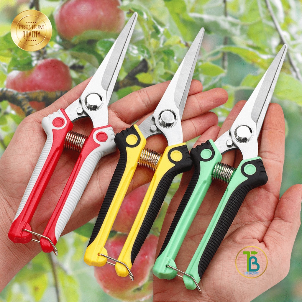Jual Gunting Pruning Bonsai Buah Bunga Daun Pruning Shears Lancip LT-V9 ...
