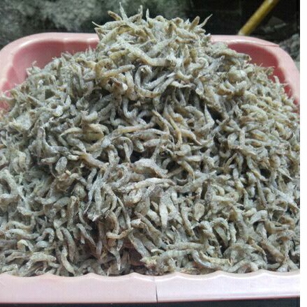 Jual ikan penja khas sulawesi 1kg | Shopee Indonesia