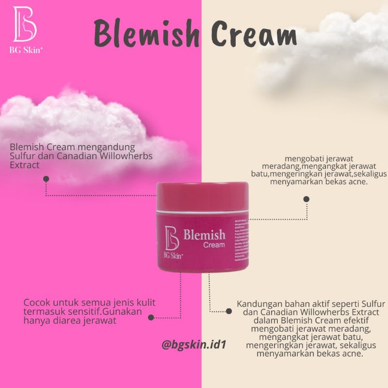 Jual BG Skin~ Blemish Cream ( obat totol jerawat ) | Shopee Indonesia