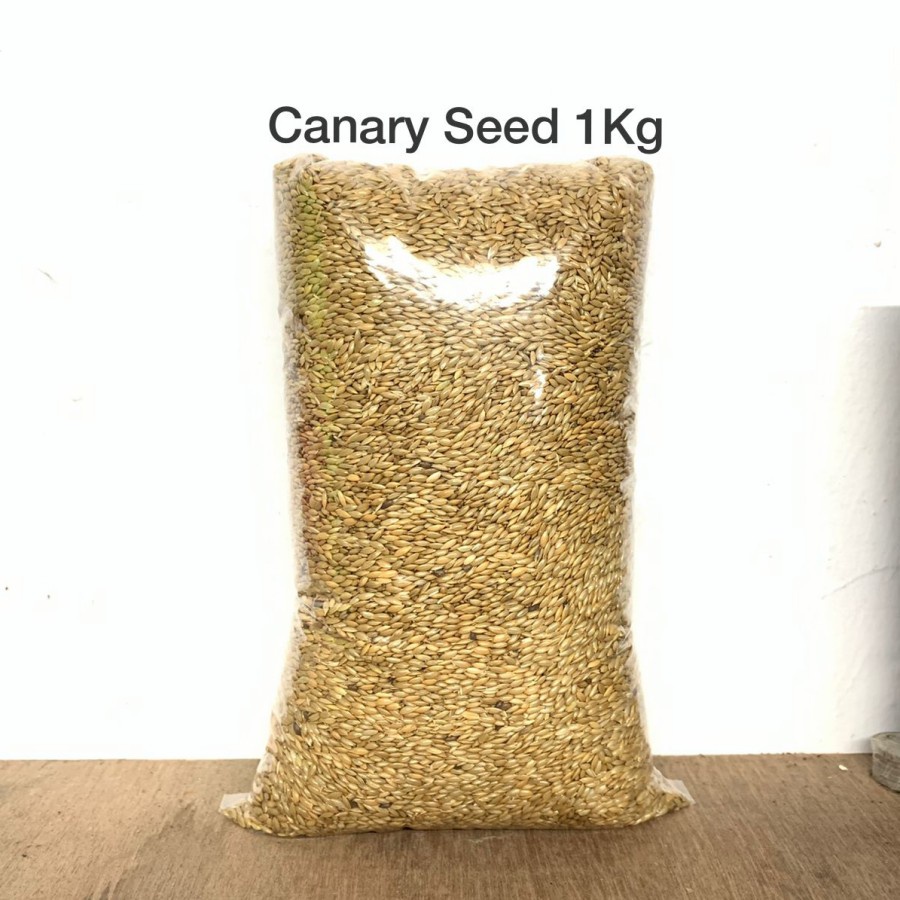 Jual Canary Seed 1kg Kenari Seed Makanan Burung Kenari Finch dll ...