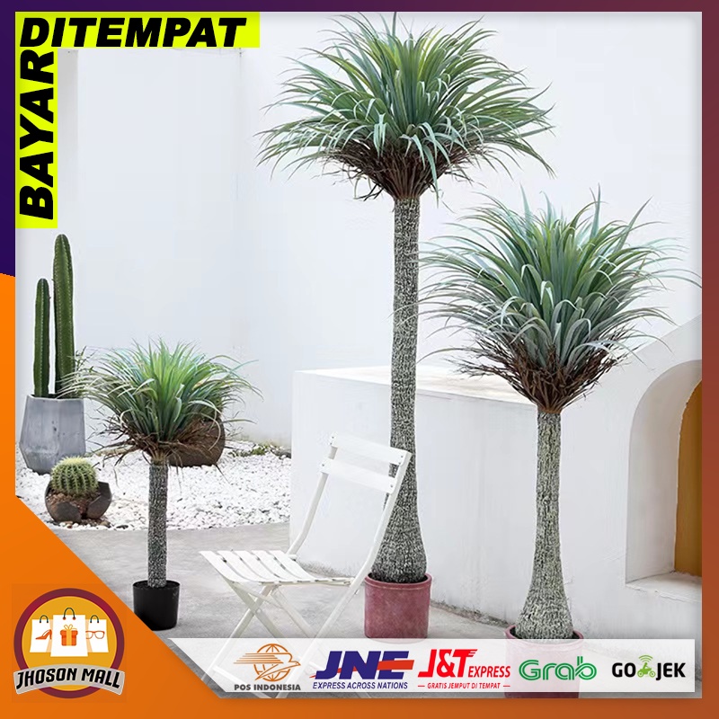 Jual JM Pot Bunga Plastik / Tinggi pohon : ± 1.2 Meter Pohon Palem ...