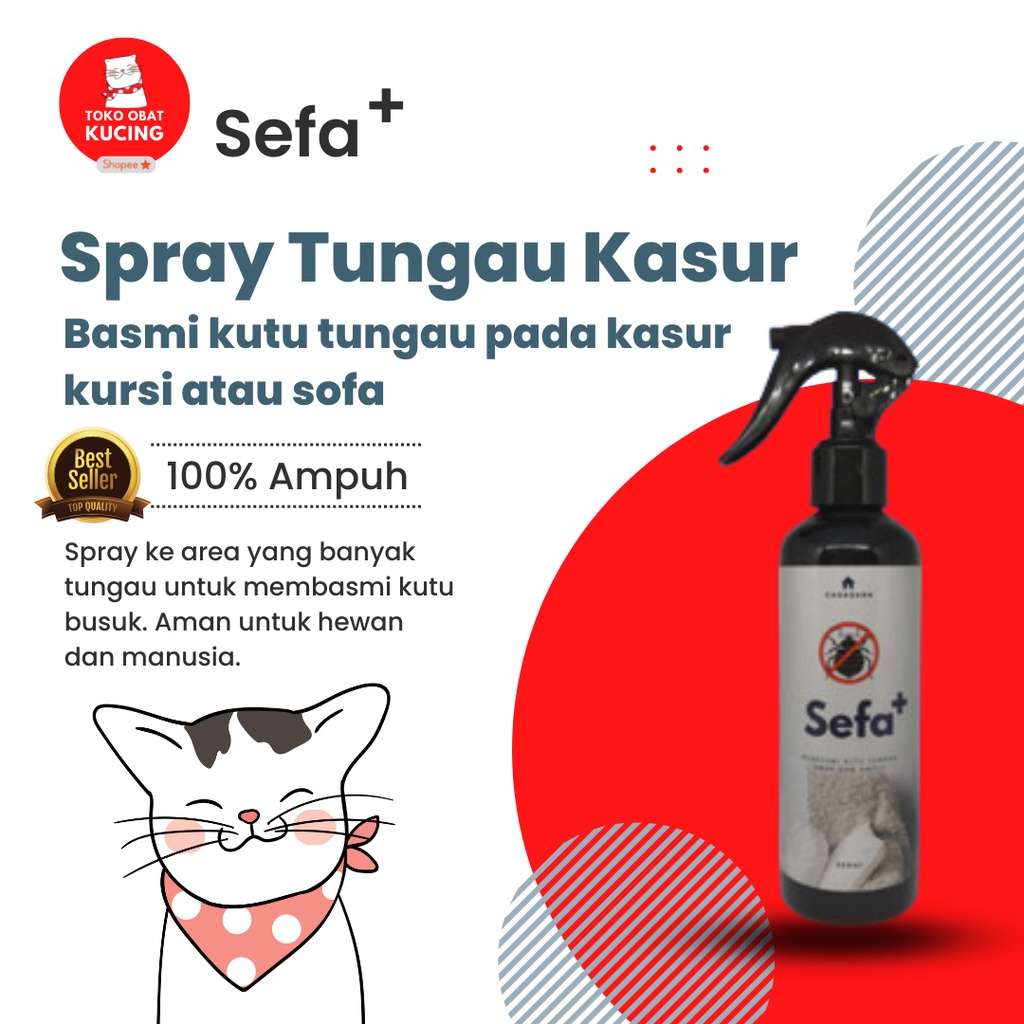 Jual Spray Pembasmi Kutu Busuk Tungau Kasur Sefa Plus (+) anti kutu ...