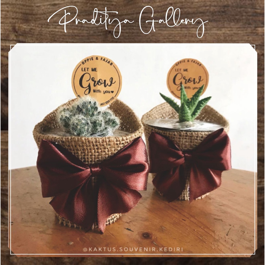 Jual Goni kaktus/Goni lilit/packaging kaktus/hiasan pot mini | Shopee ...