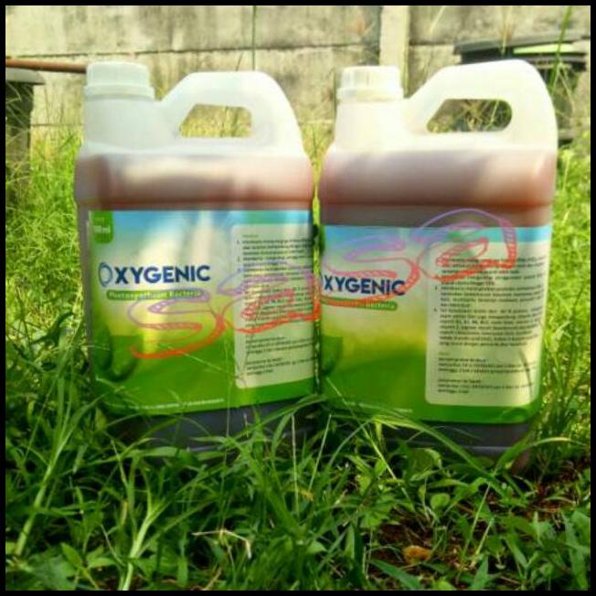 Jual Bakteri Fotosintesis Pertanian 5Liter Oxygenic/Psb/Pupuk Cair ...