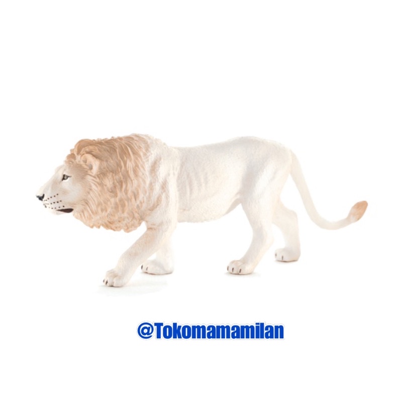 Jual Mojo Fun White Male Lion | Animal Figure Singa 87206 - Wildlife ...