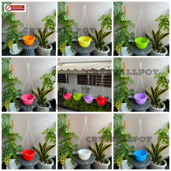Jual Pot Gantung Tempel Bunga Tanaman Hias Rambat NKT Cakra Warna Warni ...