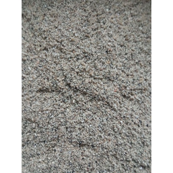 Jual Pasir alami dari pinggir pantai | Shopee Indonesia