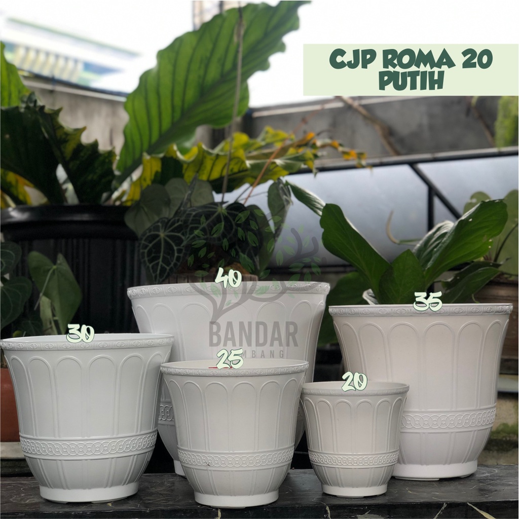 Jual Pot Bunga Putih CJP Roma Ukuran 20 Warna Putih Motif Minimalis Pot ...