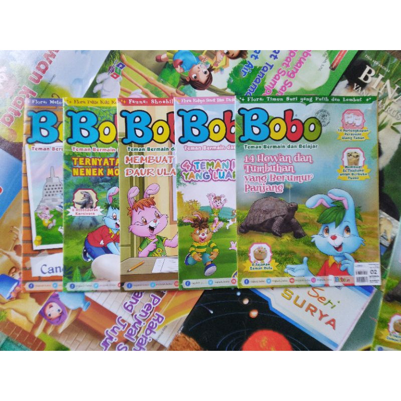 Jual PAKET BOBO TAHUN TERBARU (2020-2022) | Shopee Indonesia