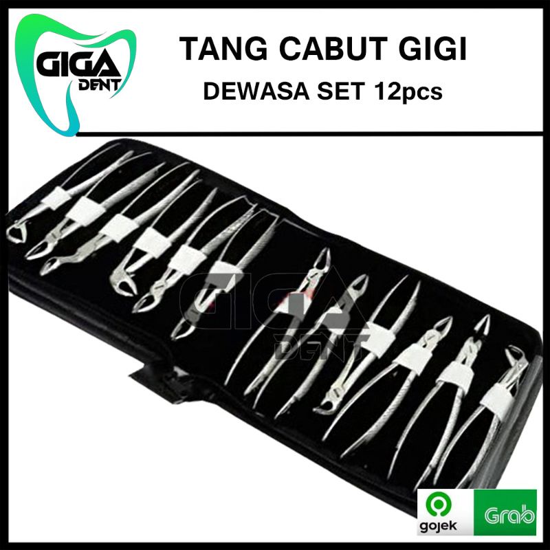Jual 12 Pcs TANG CABUT GIGI DEWASA / TOTH FORCEPT ADULT SET | Shopee ...