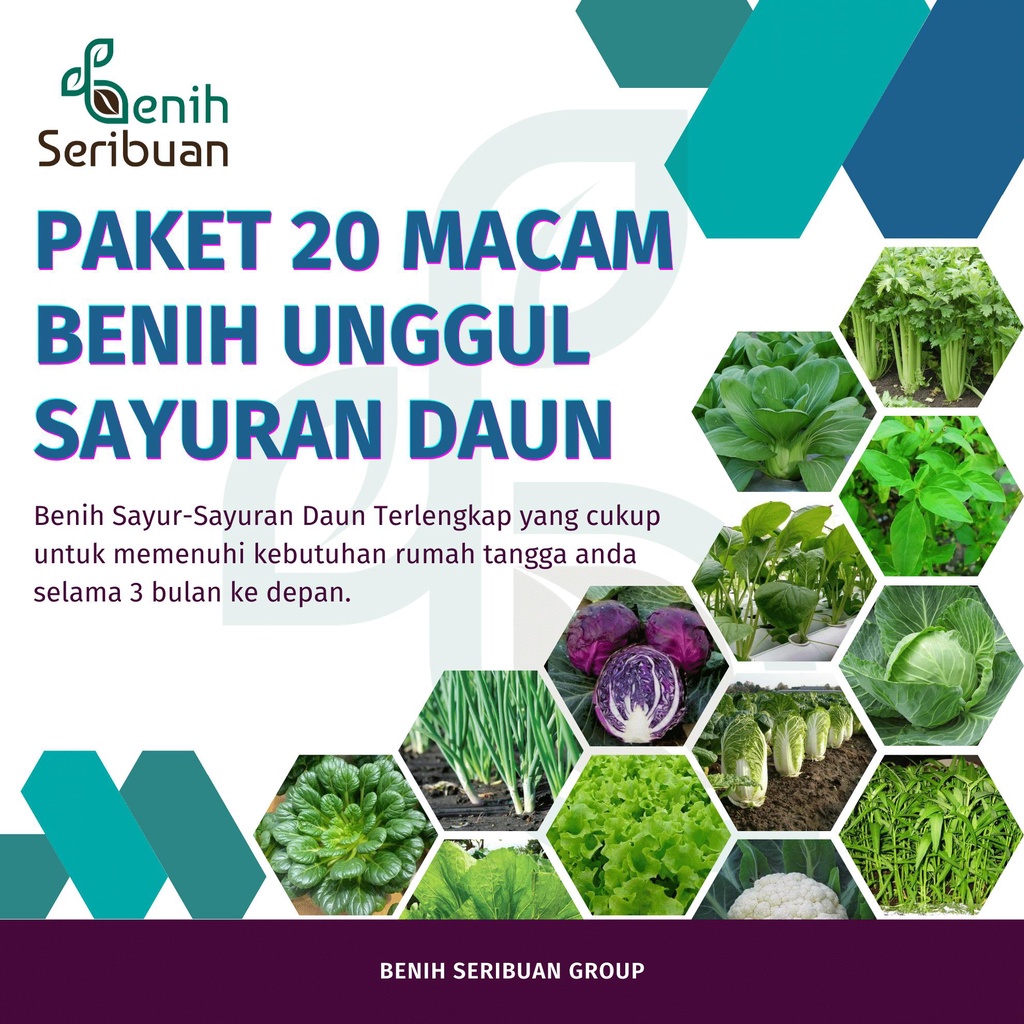 Jual Benih Sayuran Daun Paket 20 Macam Bibit Sayur Unggul Kangkung ...