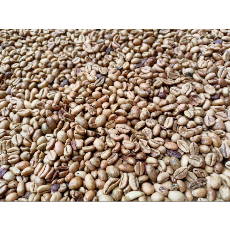 Jual LIBERIKA JAVA ARJUNO ( GREEN BEAN 1KG ) | Shopee Indonesia