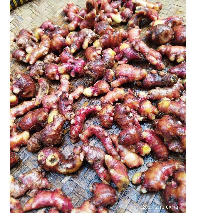Jual codeS8e8D--JAHE MERAH BERSIH 1KG UKURAN KECIL JAHE MERAH SEGAR ...