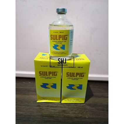 Jual SULPIG 100 ML(LARUTAN INJEKSI UNTUK BABI) | Shopee Indonesia