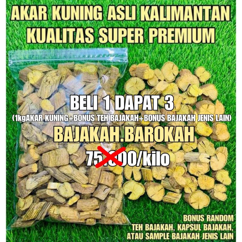 Jual AKAR KUNING SATU KILO ASLI KALIMANTAN | Shopee Indonesia