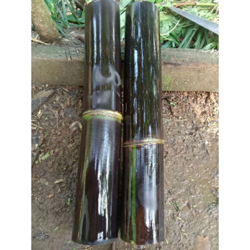 Jual bambu hitam bulat utuh panjang 50cm ketebalan 1,5 cm bahan ...