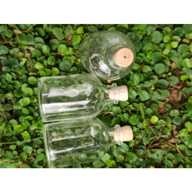 Jual Botol kaca 50ml tutup kayu gabus, Charm Cork, tutup kecil ...