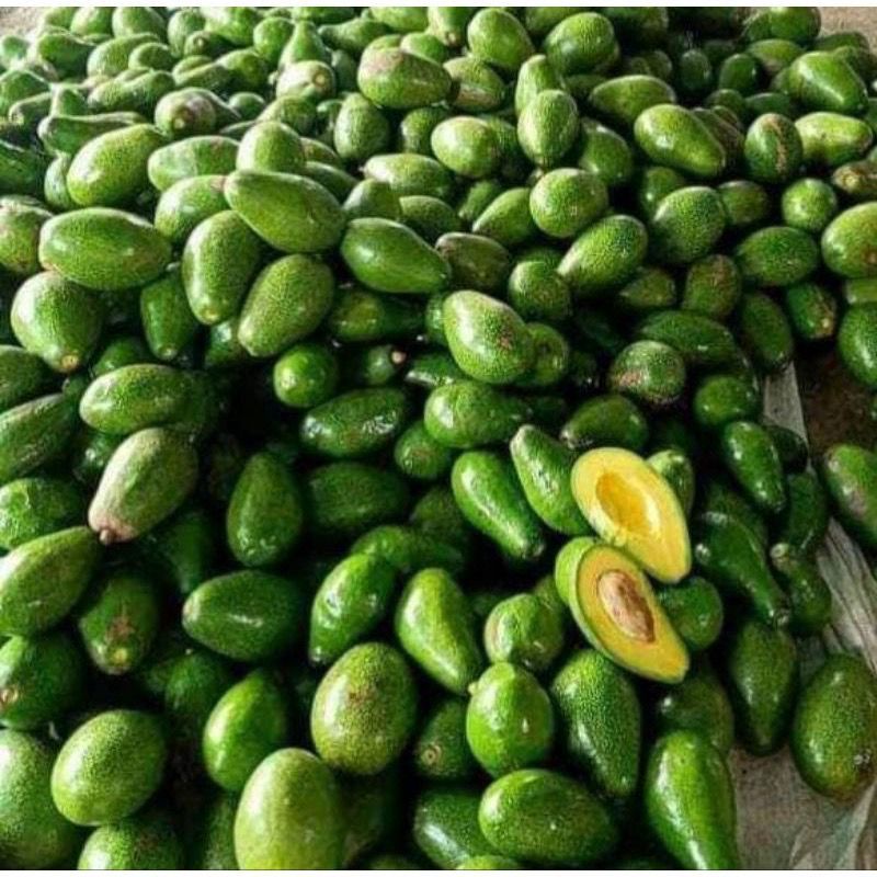 Jual ALPUKAT 1KG | Shopee Indonesia